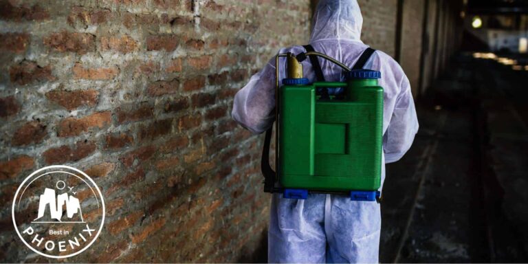 Our Top Picks for Exterminators in Phoenix [2025 ]