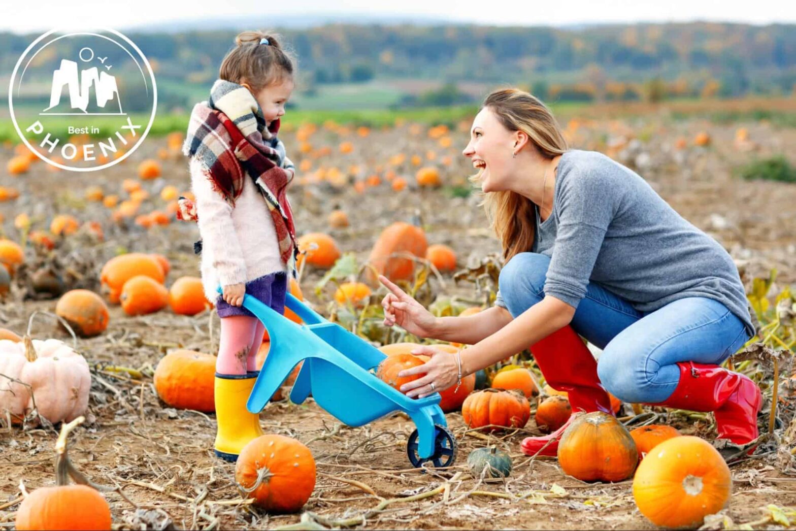 The 14 Best Pumpkin Patches in Phoenix [2025]