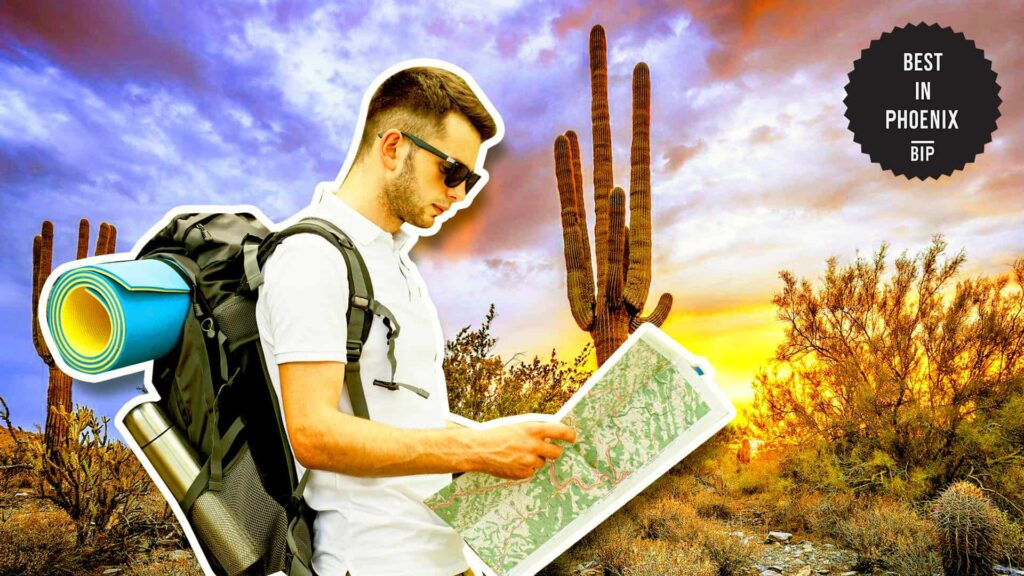 Your Complete Guide to Exploring the Sonoran Desert [2026]