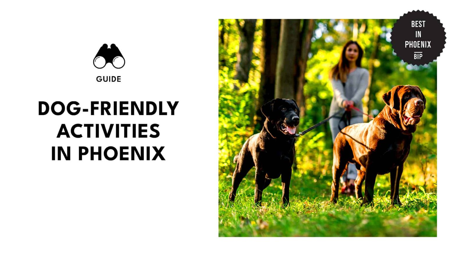 24 Must-Try Dog-Friendly Activities in Phoenix [2026]
