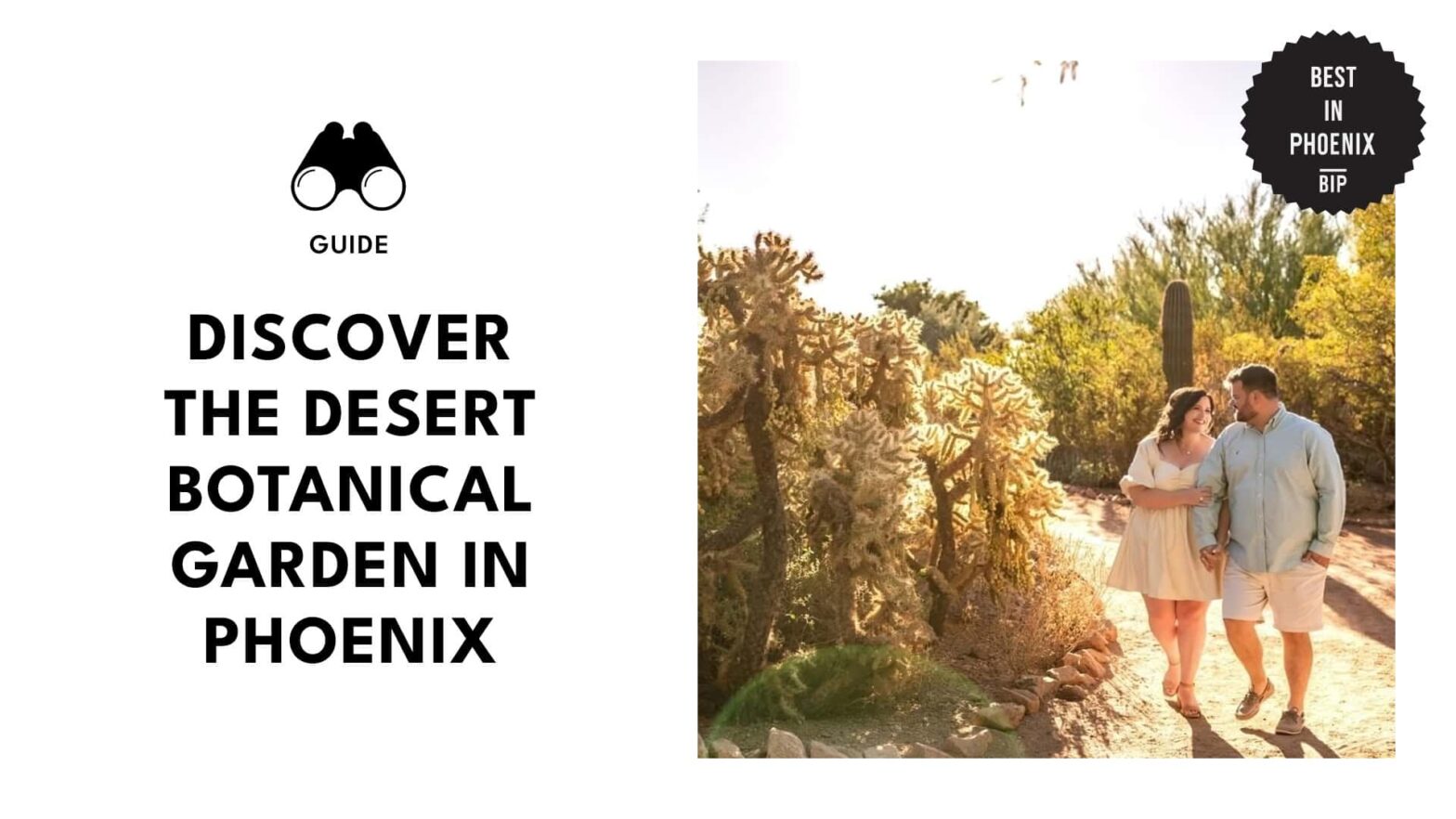 Here’s a Guide to Have an Ideal Day at the Desert Botanical Garden