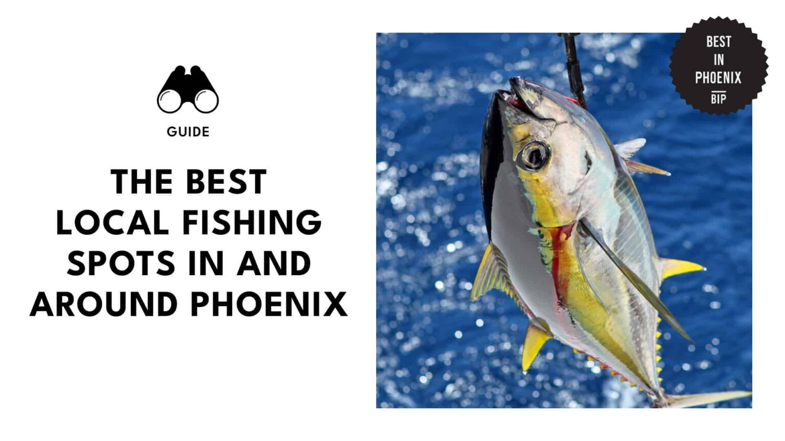 Top 10 Best Local Fishing Spots in and Around Phoenix