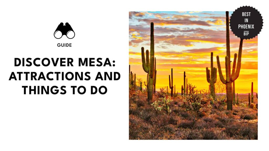 Mesa Unplugged: 10 Fun-Filled Activities You Should Try
