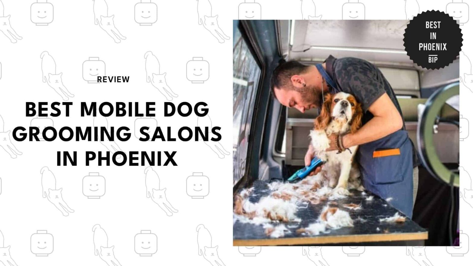 Top 5 Phoenix Mobile Dog Groomers That’ll Save You a Trip [2026]